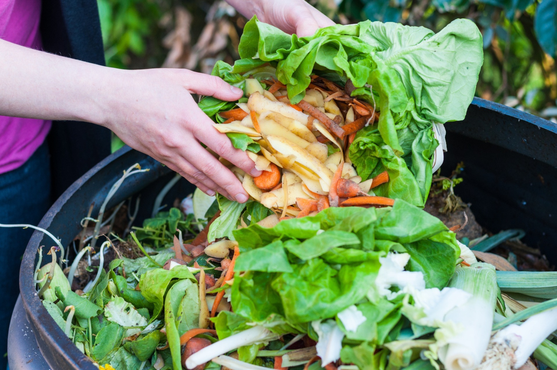 National Issue Food Waste In America National Issue Food Waste In America